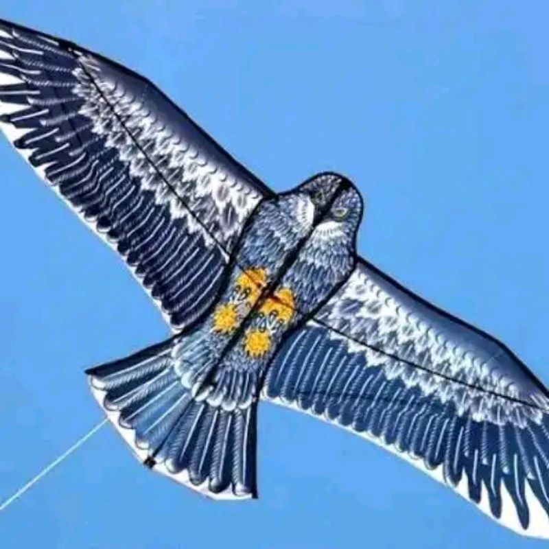 Jual Layangan burung jumbo 180cm ( Cod ) | Shopee Indonesia