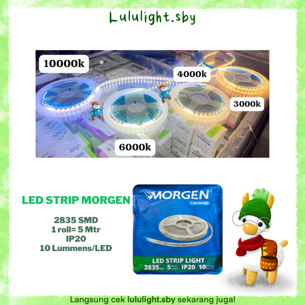 Jual Lampu Led Strip Morgen 2835 Smd 12watt IP20 DC 12Volt 10000k 6000k ...