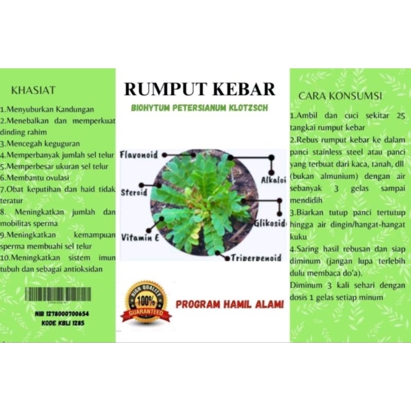 Jual TEH RUMPUT KEBAR ASLI 100% PAPUA | Shopee Indonesia