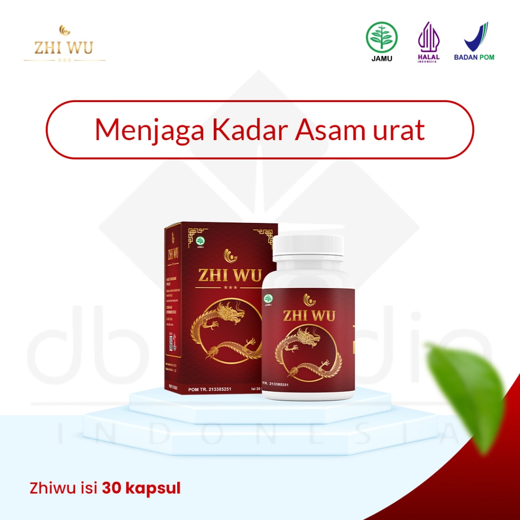 Jual ZHI WU HERBAL CINA MEMBANTU MENGATASI ASAM URAT NYERI SENDI KEBAS ...