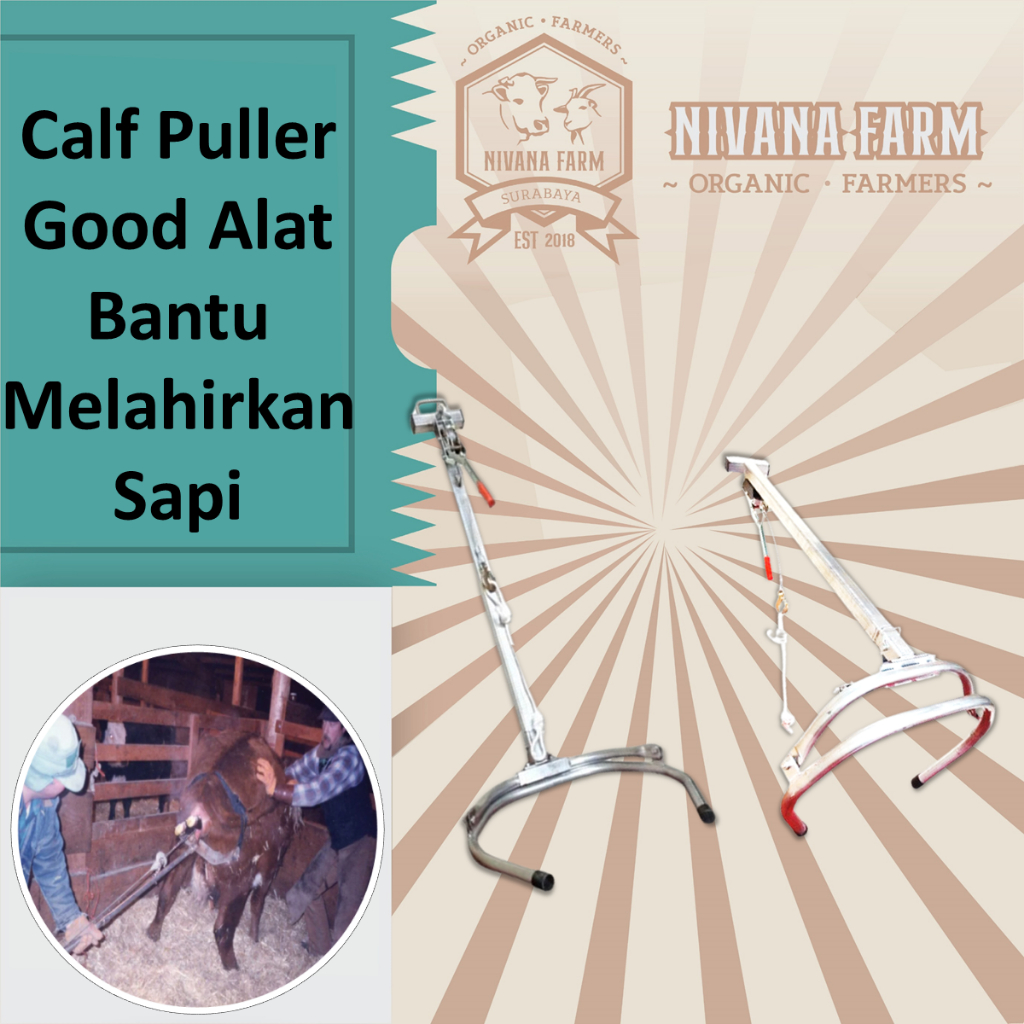 Jual Calf Puller Alat Bantu Lahiran Pedet Sapi Kerbau | Shopee Indonesia