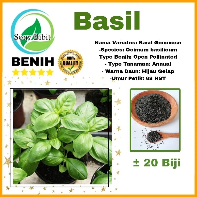 Jual 20 Benih Daun Basil Kemasan Ekonomis | Shopee Indonesia