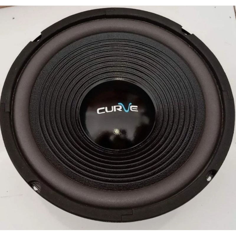 Jual Speaker curve 10 inch 25h100SUWPP woofer | Shopee Indonesia