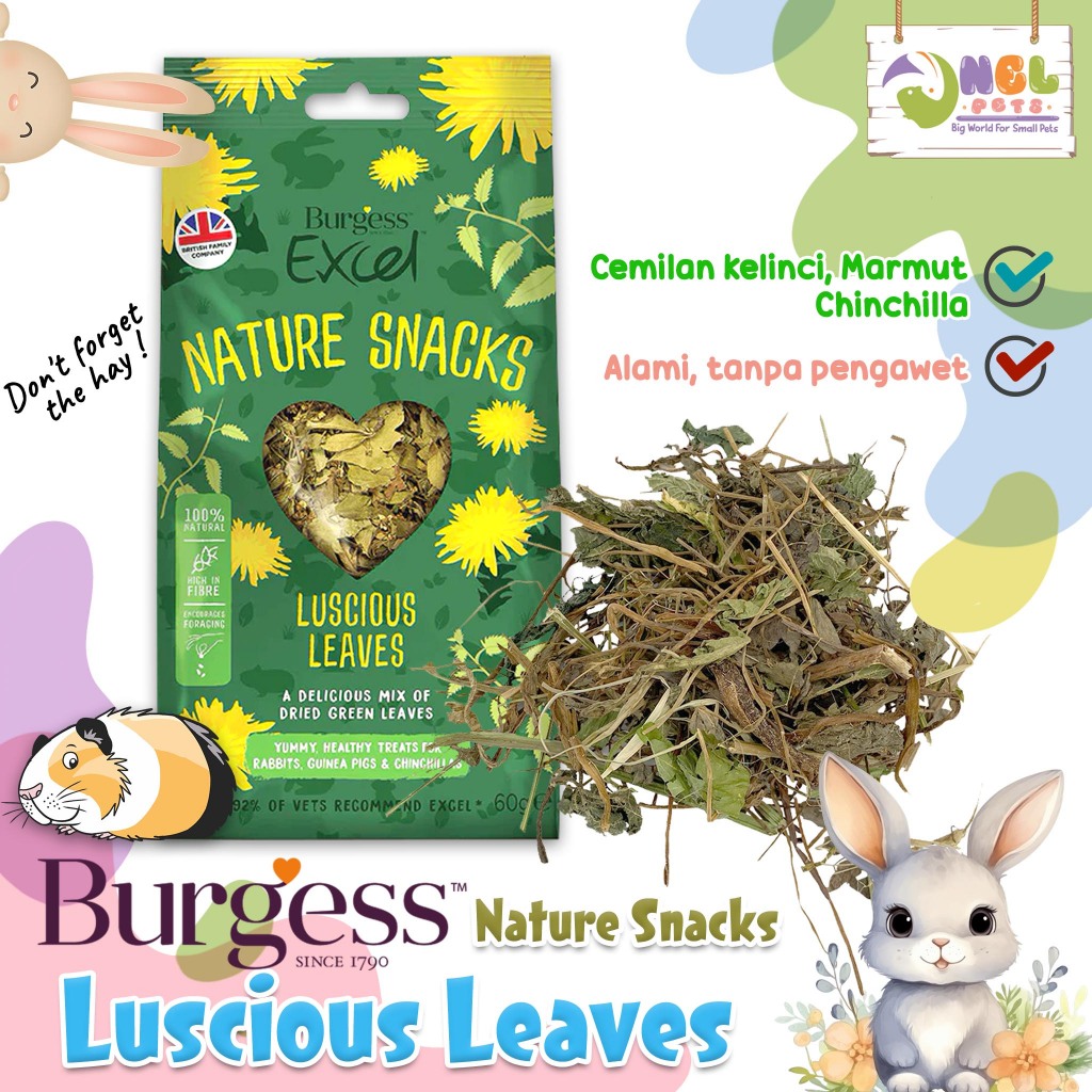 Jual BURGESS EXCEL NATURE SNACKS LUSCIOUS LEAVES 60gr/snacks kelinci ...