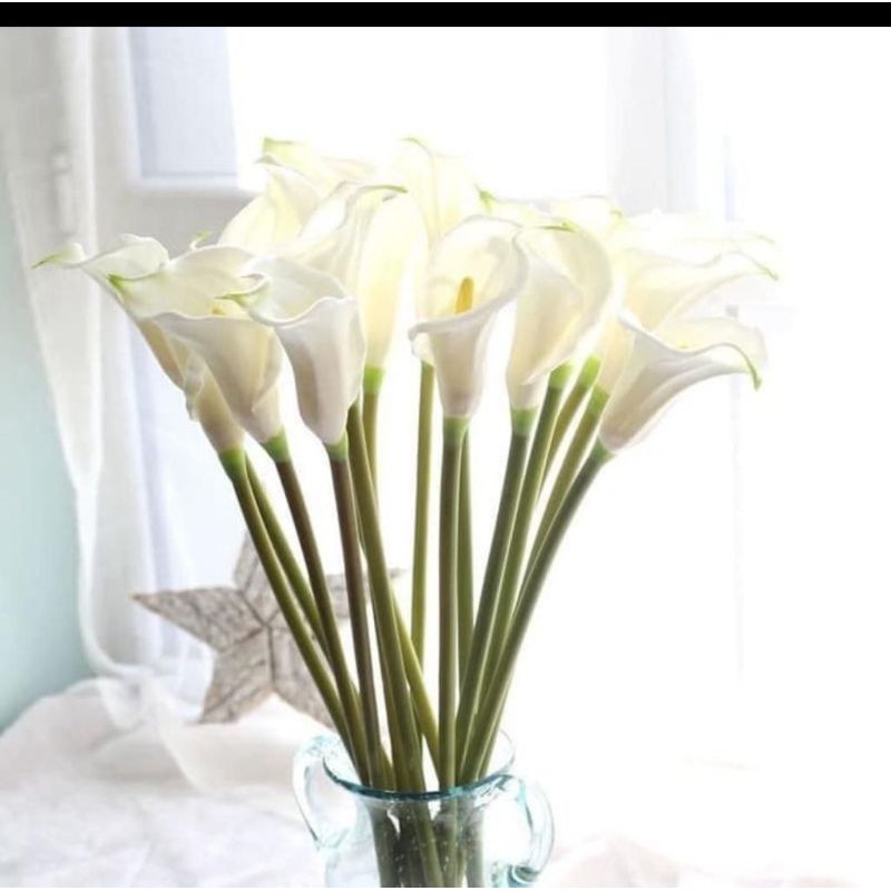 Jual bunga calla lily jumbo premium | Shopee Indonesia