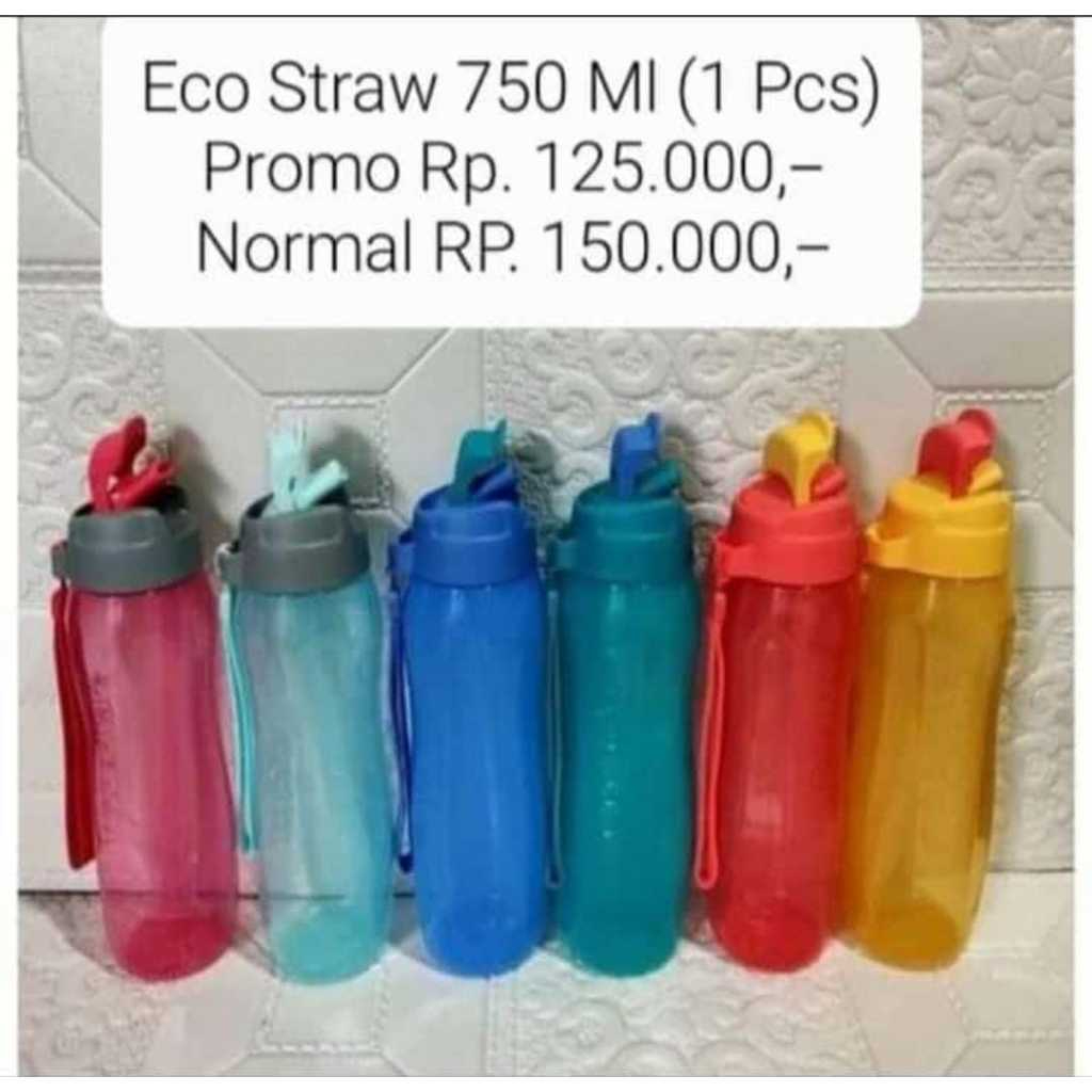 Jual Eco Bottle 750ml with Straw / Botol Minum Tupperware Original ...