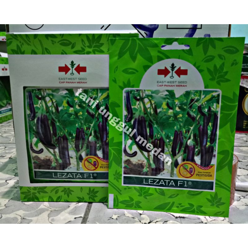 Jual Benih Terong Ungu Lezata F1 isi 400 butir | Shopee Indonesia