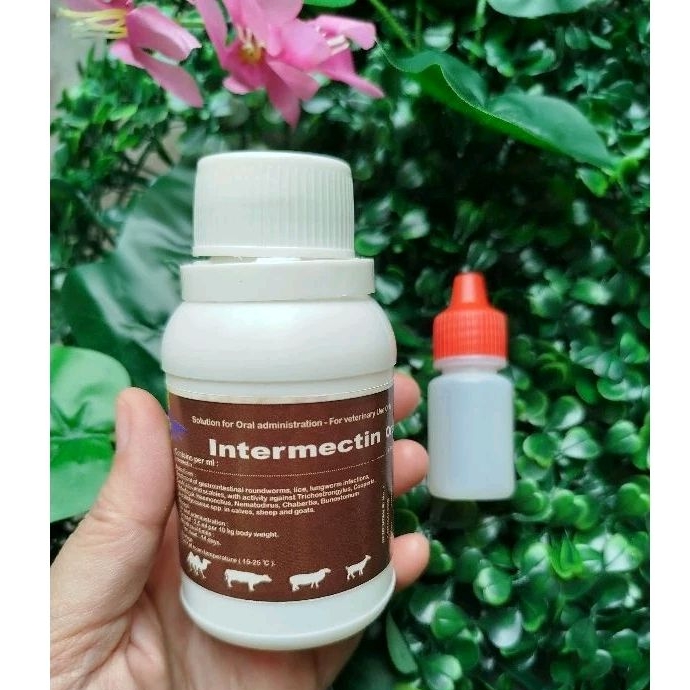 Jual Intermectin Oral Obat Kutu Kucing Obat Scabies Kucing Obat Kutu