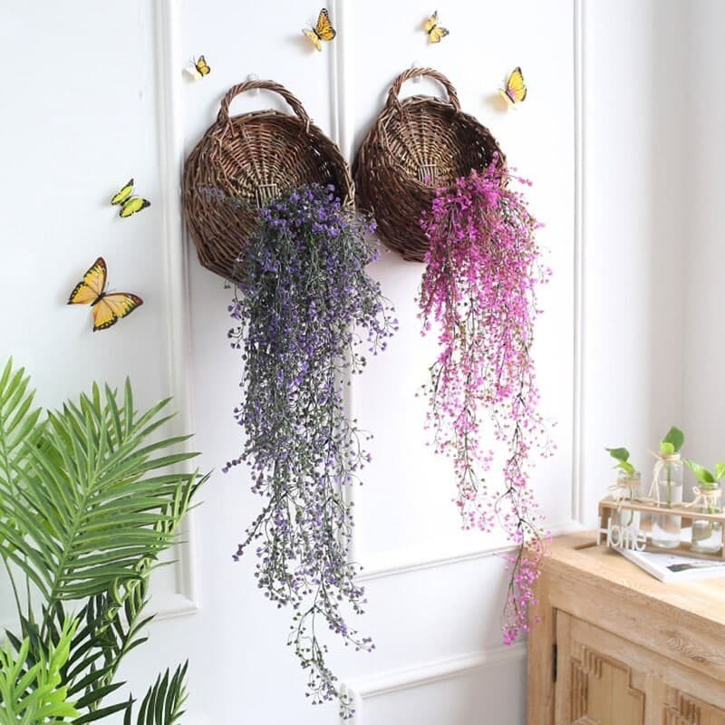 Jual Bunga Gantung WILLOW ADMIRALTY - Daun Rambat - Tanaman Hias ...
