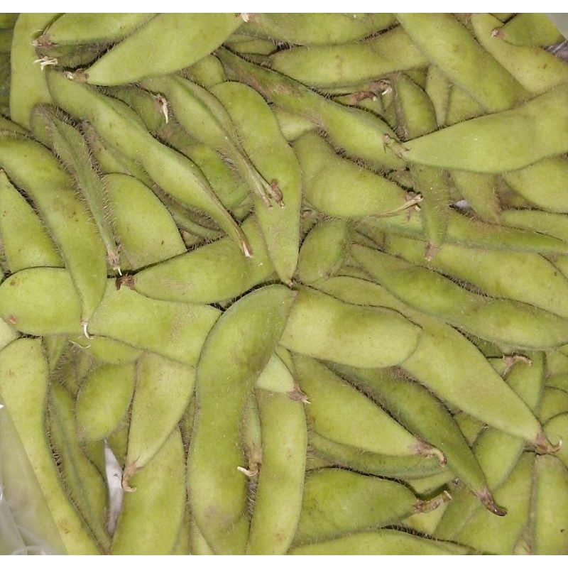 Jual Edamame Kulit | Shopee Indonesia