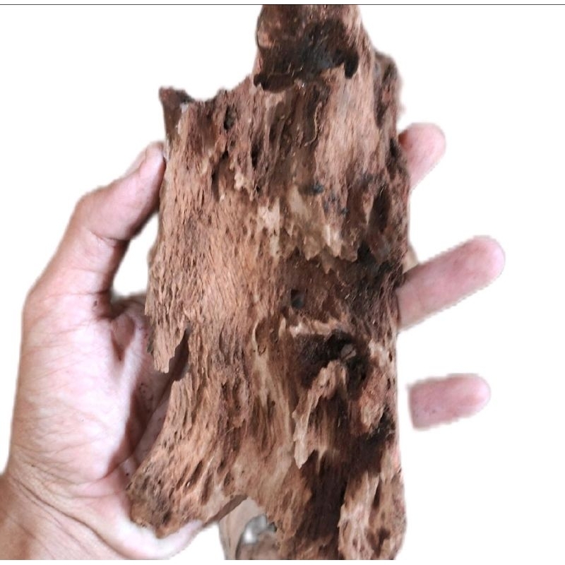 Jual kayu rentek grade pilihan aquarium aquascape | Shopee Indonesia