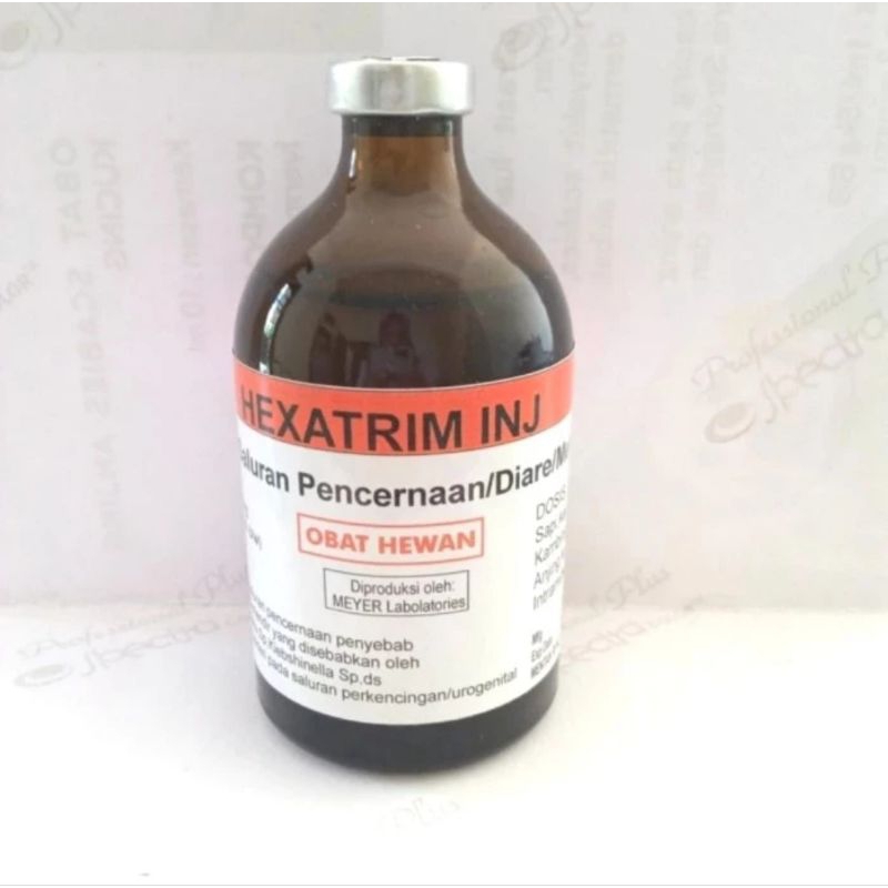 Jual HEXATRIM Inj/ Obat Infeksi Saluran Pencernaan/ Diare/ mencret ...