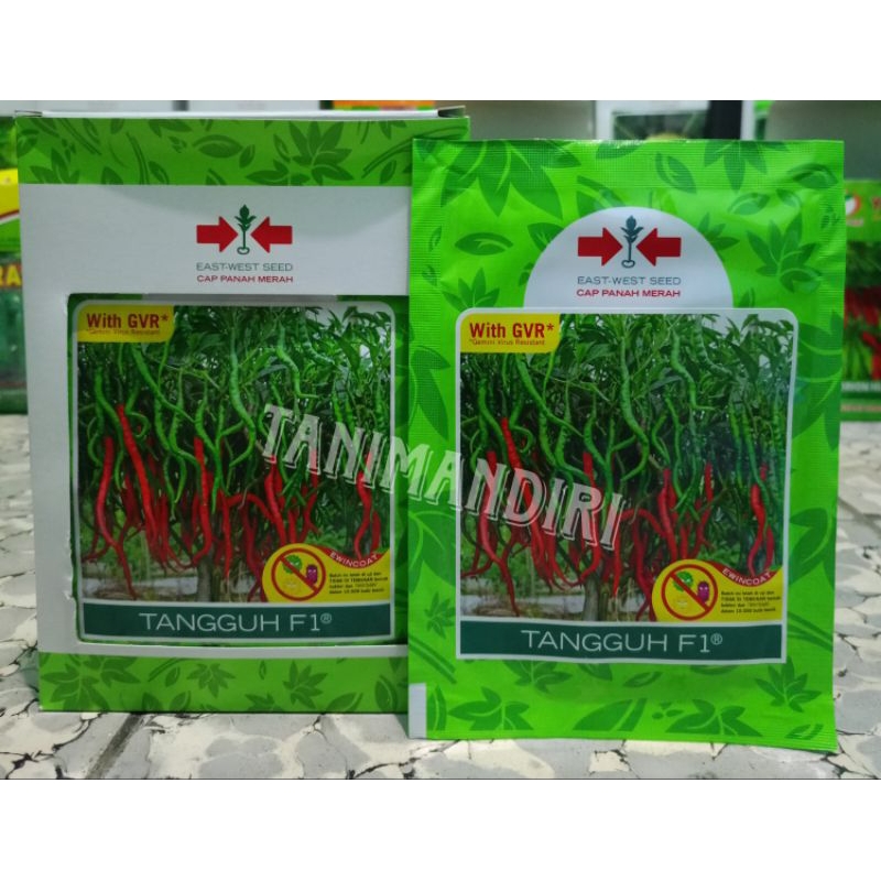 Jual Benih Cabe Keriting Tangguh F1 isi 2000 butir | Shopee Indonesia