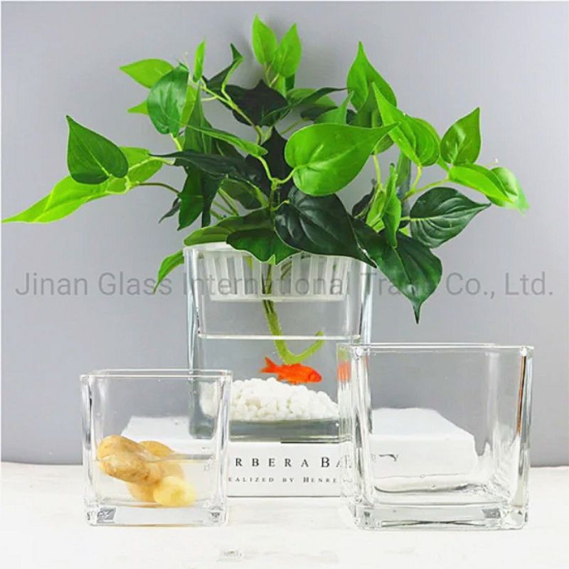 Jual Vase Square Kotako Minimalis / Vas Bunga Kaca Kotak Segi Empat ...