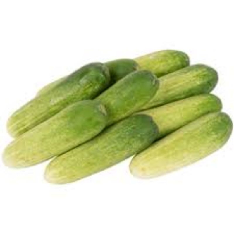 Jual TIMUN LALAP KECIL 500GR - 1 KG | Shopee Indonesia
