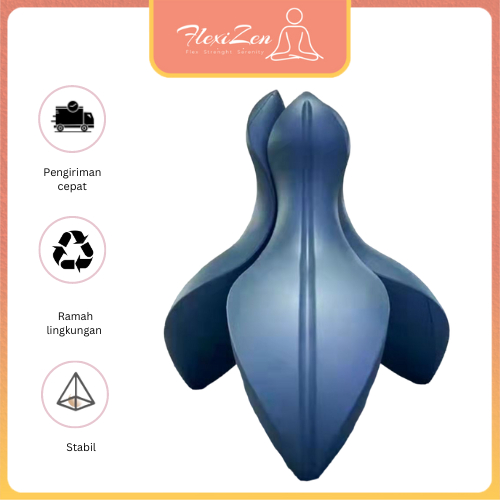 Jual Pilates Dolphin Alat Pilates Yoga Latihan Keseimbangan Koreksi ...