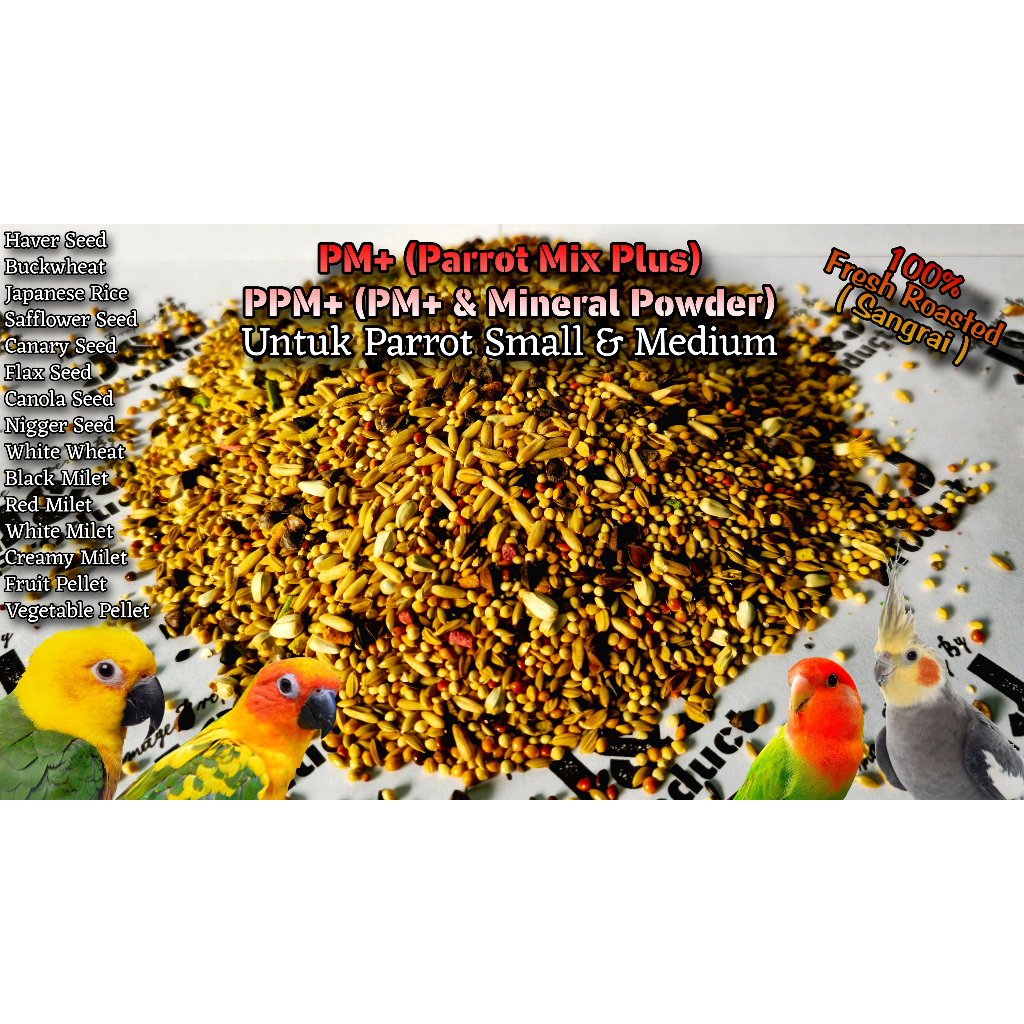 Jual PARROT MIX PLUS 1kg - Pakan burung lovebird small parrot ...