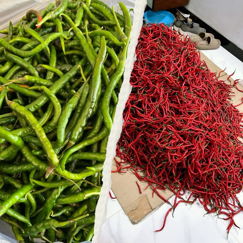 Jual Cabe Merah Keriting dan Hijau Ijo 1kg 1 kg Fresh Murah Kriting ...