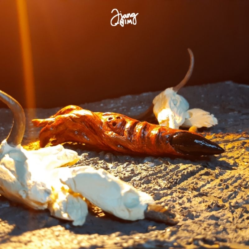 Jual READY STOCK - Sukuna's Finger Jari Sukuna Handmade Clay Jujutsu ...