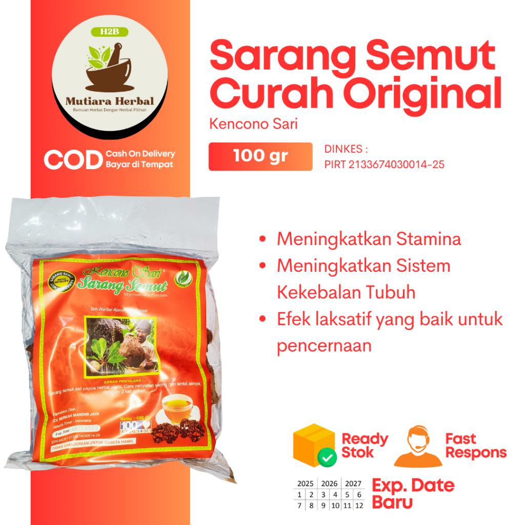 Jual Teh Sarang Semut Curah Herbal Asli Original Papua kencono sari ...
