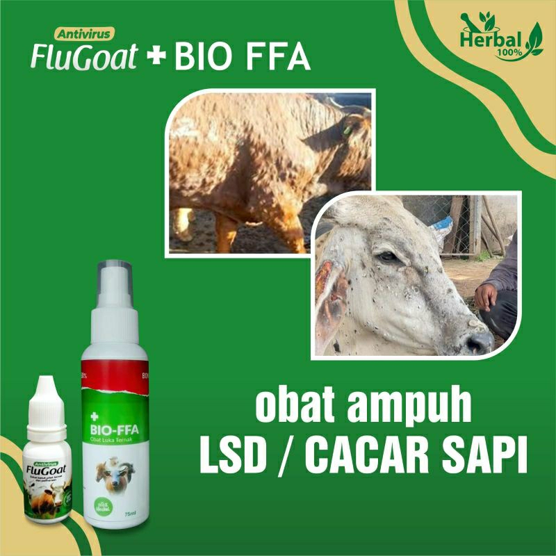Jual Obat lato lato LSD/Cacar Sapi ampuh | Shopee Indonesia