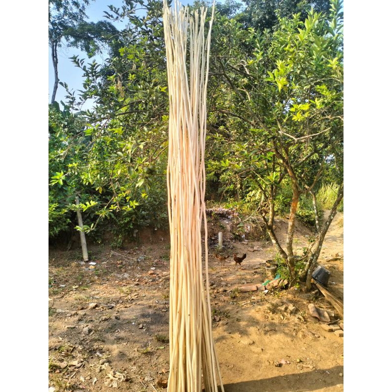 Jual Kayu Dolken Terlengkap & Harga Terbaru Juni 2026 | Shopee Indonesia