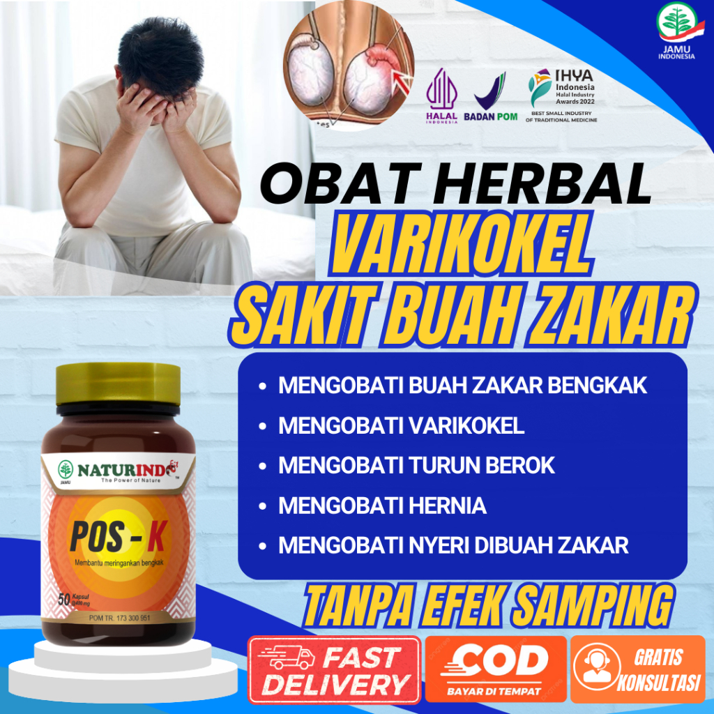Jual Obat Hernia Varikokel Buah Zakar Bengkak Turun Berok Herbal Bero ...