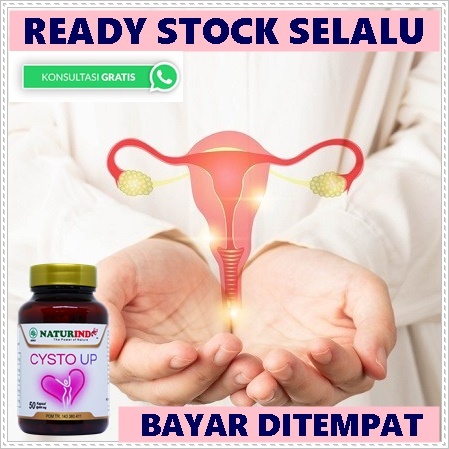 Jual Obat kista dan miom myom Herbal Coklat Kista endometriosis cysta ...