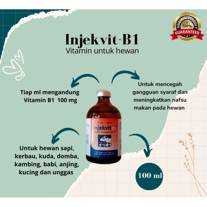 Jual Injekvit B1 100 ml - vitamin untuk hewan (sapi, kerbau, kuda, babi ...