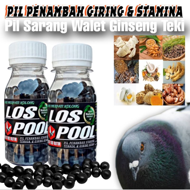 Jual Los Door Pool Jamu Merpati Kolong giring keket keras isi 300 butir ...