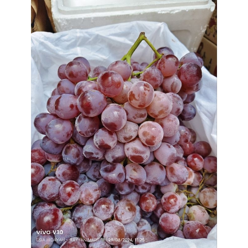 Jual ANGGUR REDGLOBE FRESH 1 KG | Shopee Indonesia