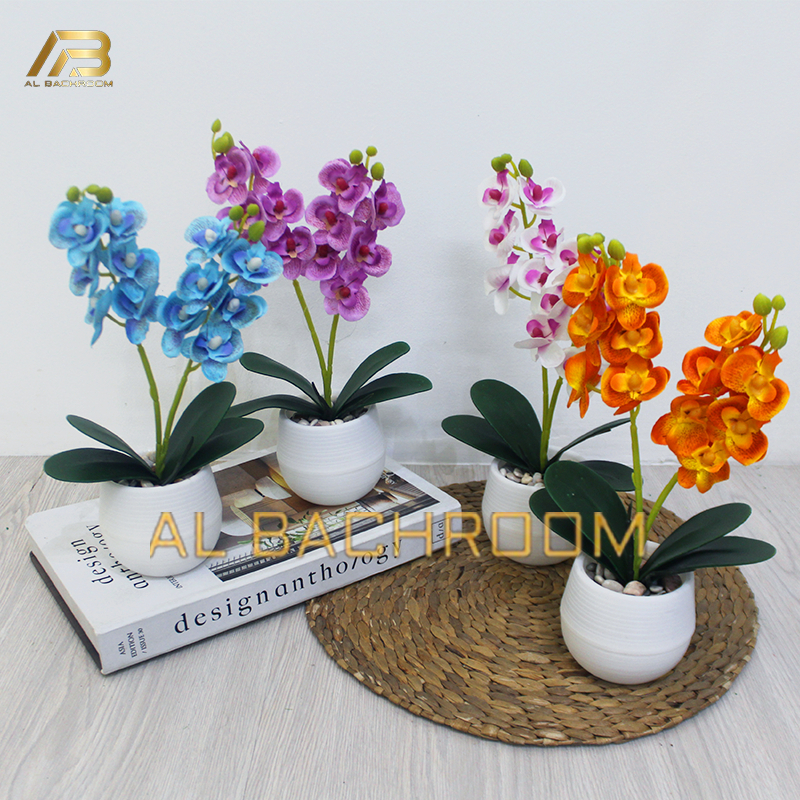 Jual BUNGA ANGGREK SATU PAKET AT-28 DAN AT-22 POT BULAT BATU RB6037 ...