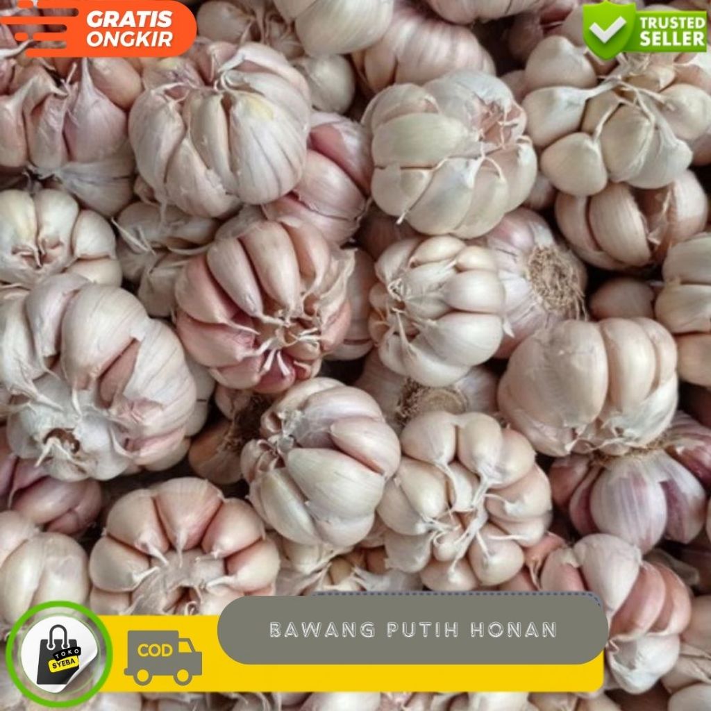 Jual Bawang Putih Honan Bersih | Shopee Indonesia