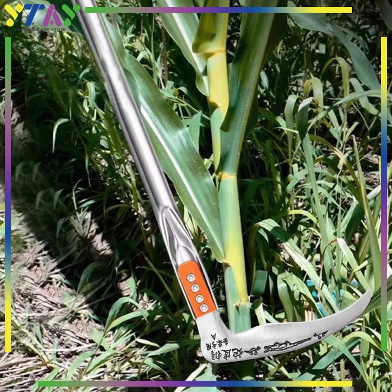 Jual Sabit Pertanian Alat Sabit Rumput Berkebun Sabit Kecil Alat Padi ...