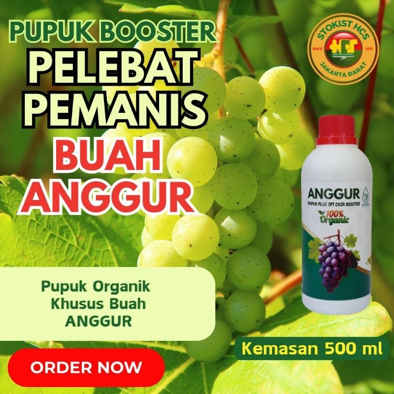 Jual Pupuk Organik Cair | Pupuk Buah | Pupuk Pelebat Buah dan Pemanis Buah Anggur #1 di ...