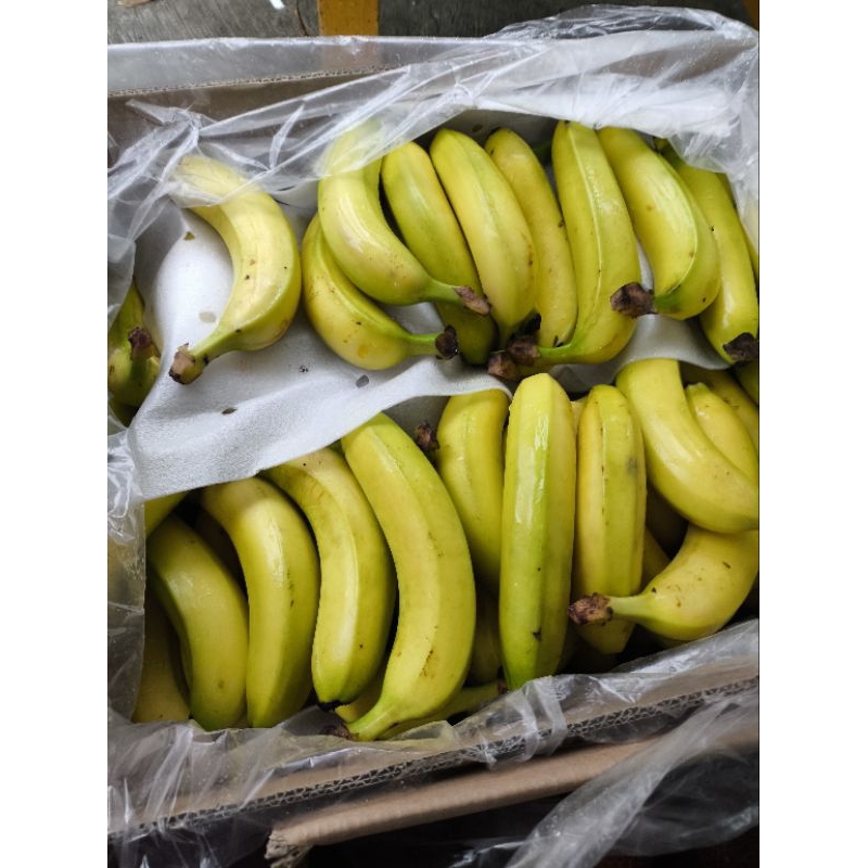 Jual Pisang Cavendish Sunpride 1 dus 13 kg | Shopee Indonesia