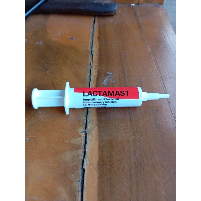 Jual LACTAMAST Obat mastitis masa laktasi | Shopee Indonesia