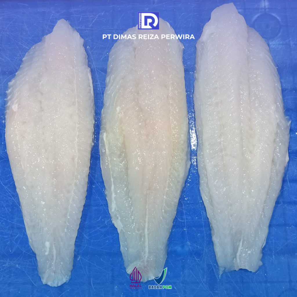 Jual Ikan Patin Fillet / Fresh Frozen Dori Fillet Kualitas Super ...