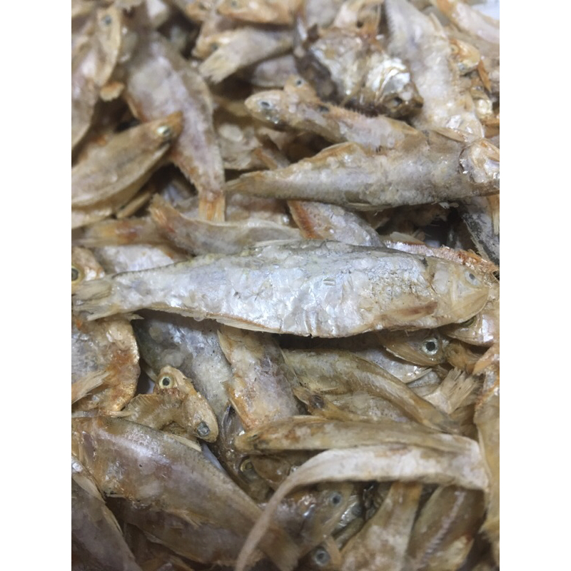 Jual Ikan Asin Lempuk Lapuk khusus Nasi Ampok 100 Gram Ukuran Random ...