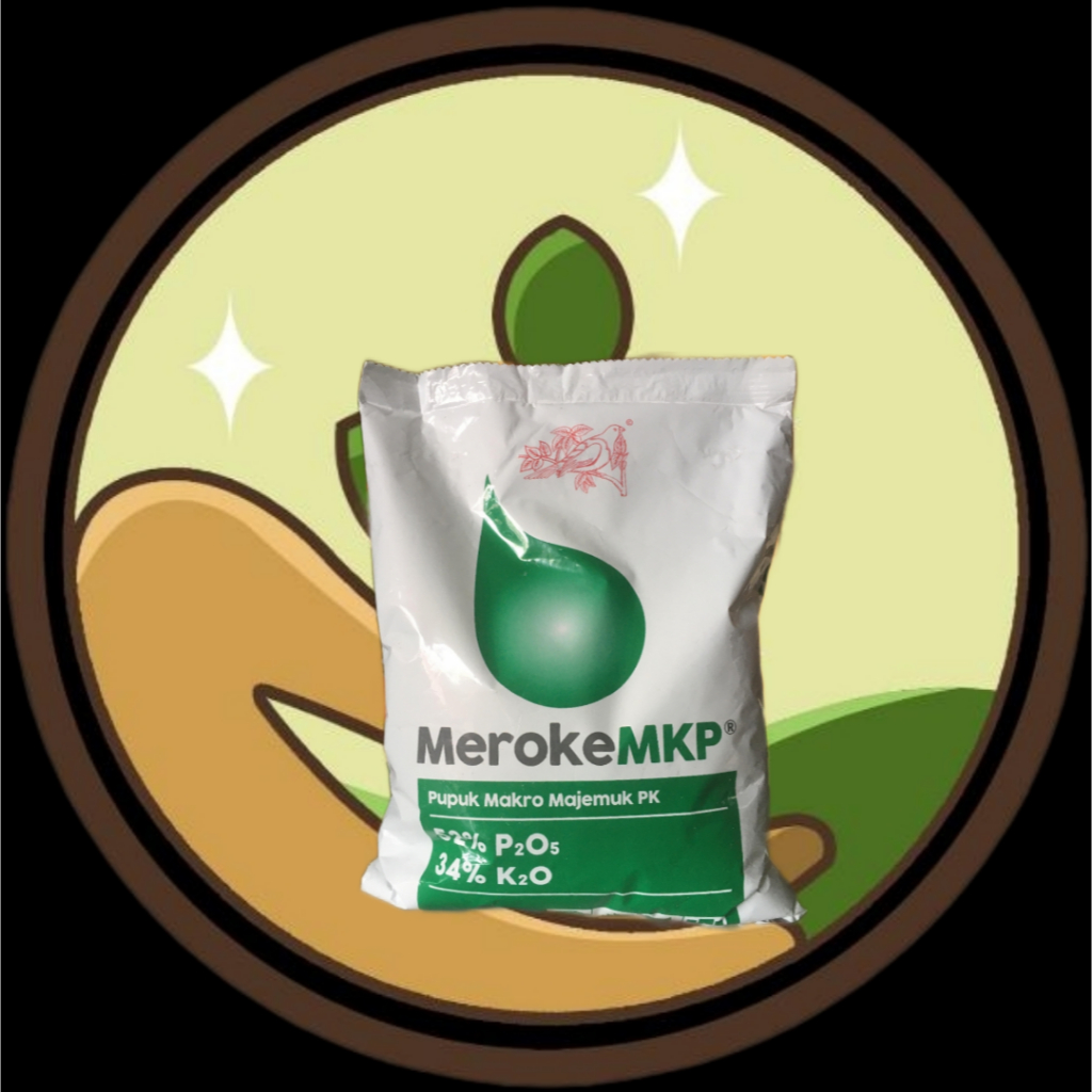 Jual MKP Meroke @ 1 Kg | Shopee Indonesia
