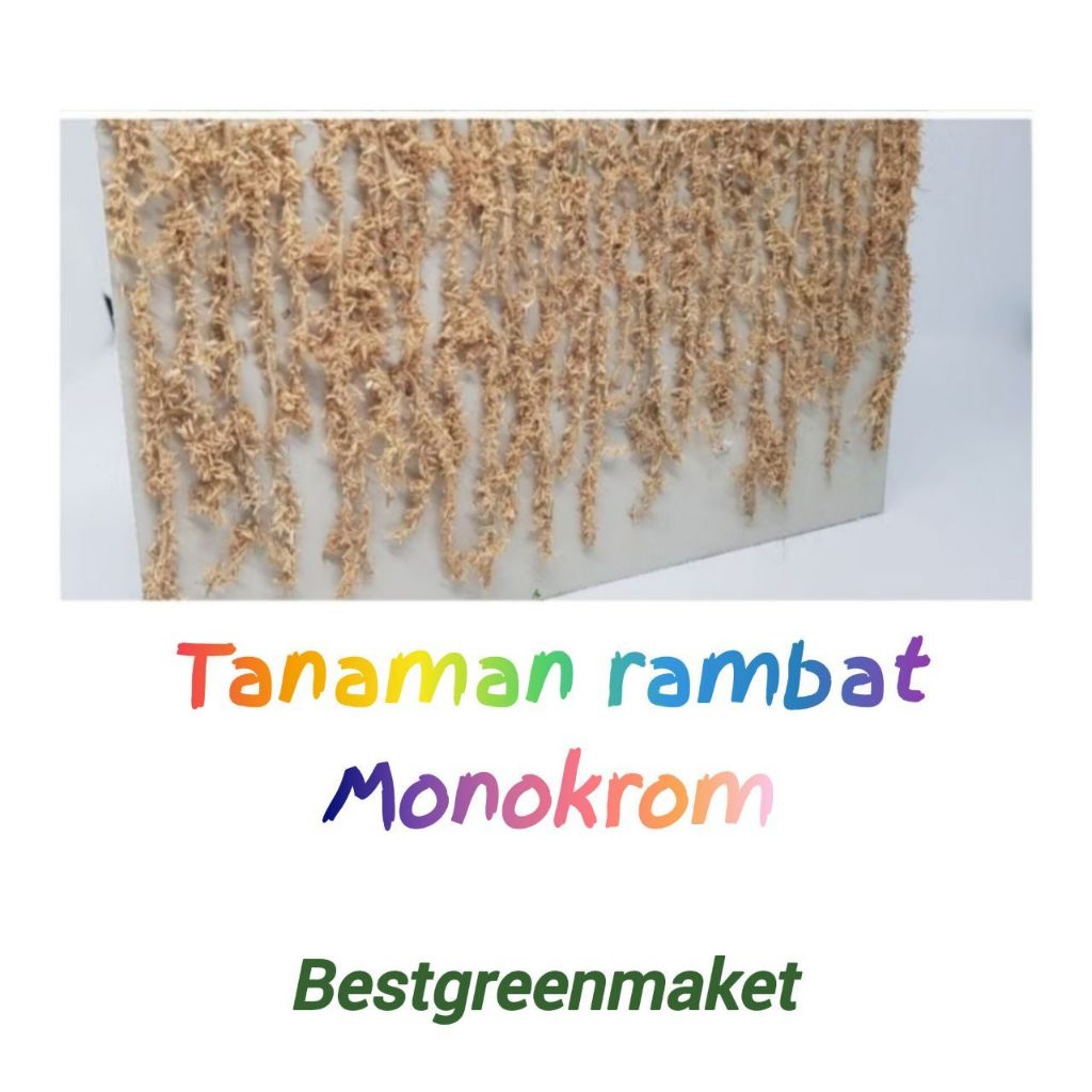 Jual Diorama Tanaman Rambat Monokrom Maket MIniatur | Shopee Indonesia