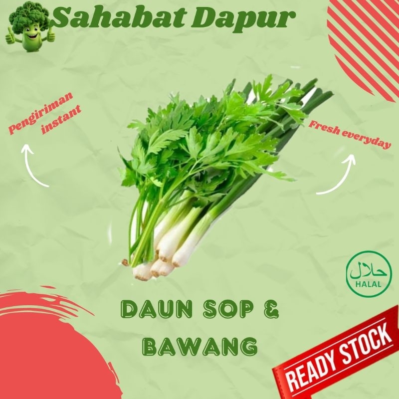 Jual Daun sop + daun bawang per ikat - Sahabat Dapur Delivery | Shopee ...