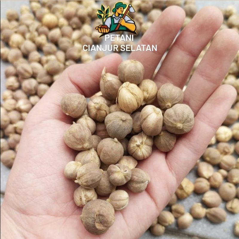 Jual Kapol 1kg | Shopee Indonesia