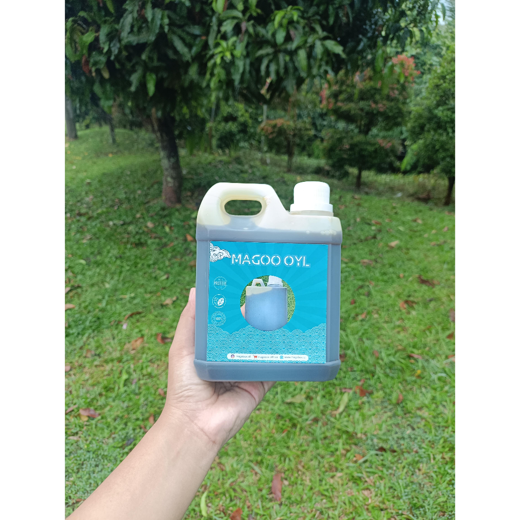Jual MAGOO OYL MINYAK MAGGOT BSF (Black Soldier Fly) PREMIUM Maggot OIL ...
