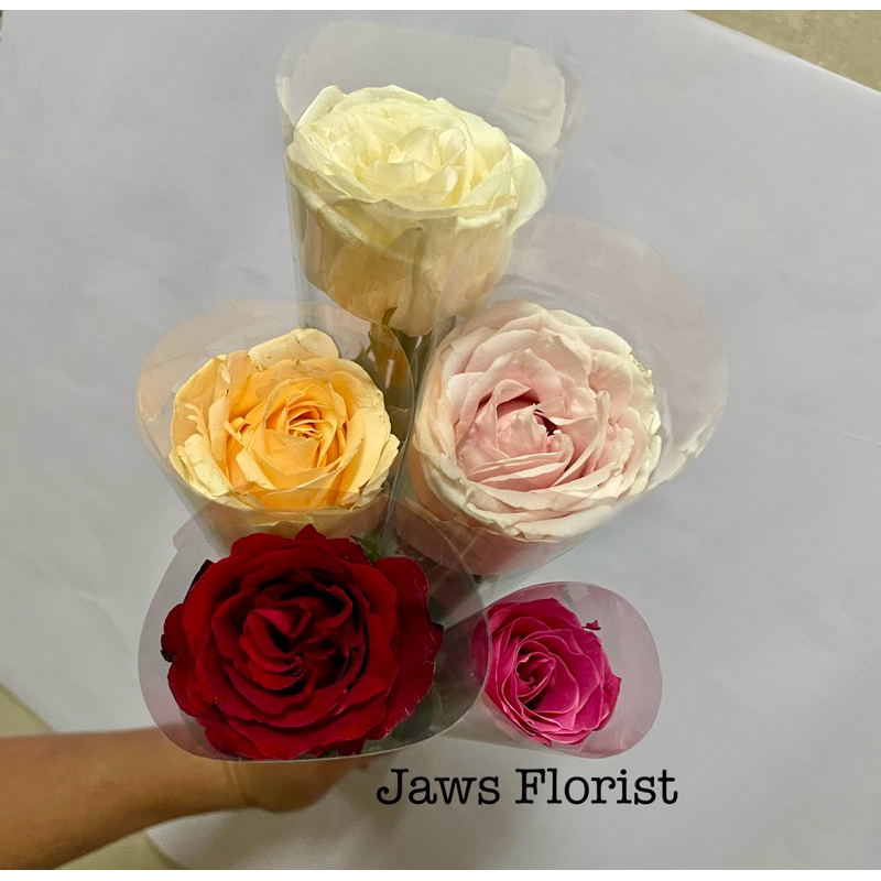 Jual Bunga Mawar 1 Tangkai Fresh | Shopee Indonesia