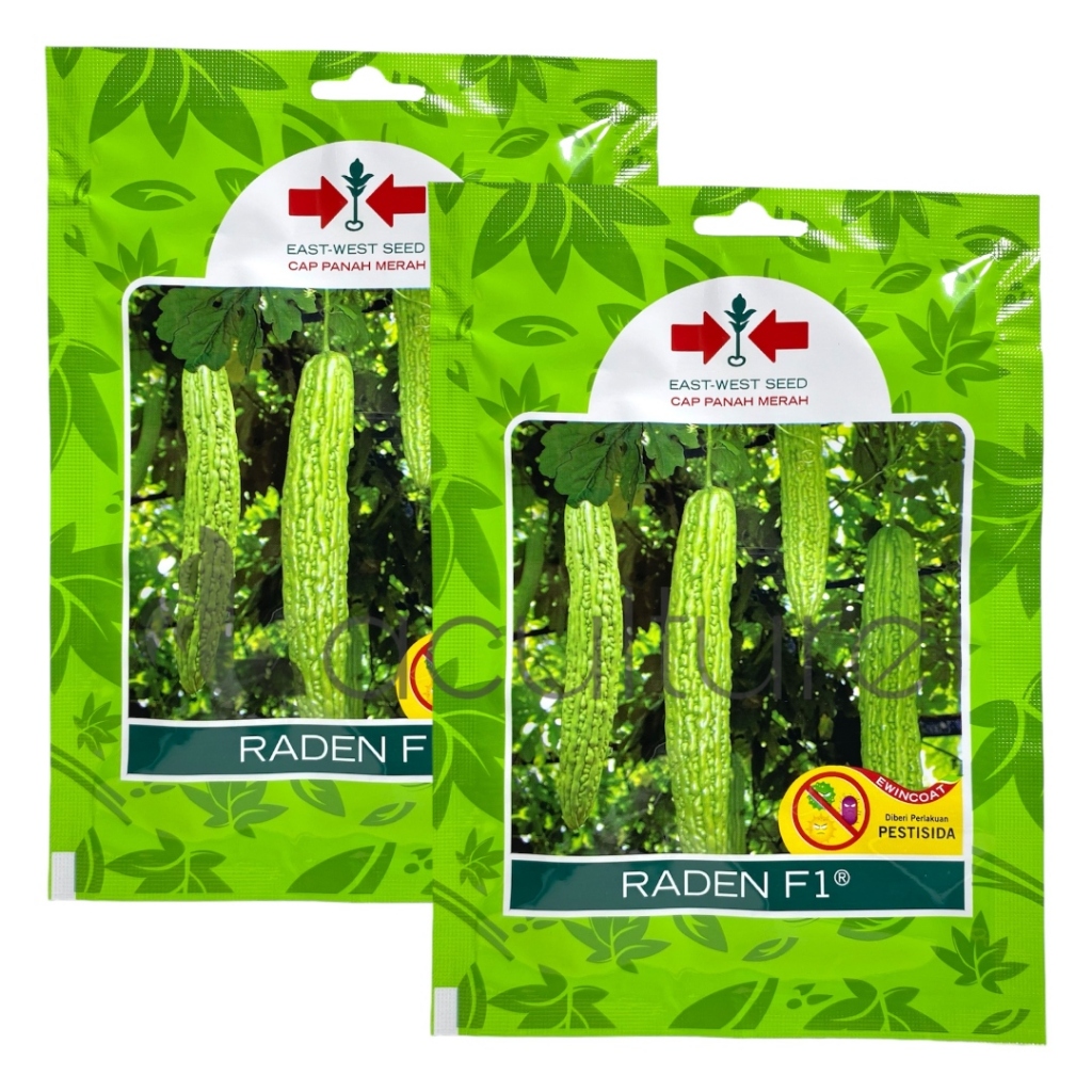 Jual Benih Pare Paria RADEN F1 Isi 15 Butir Cap Panah Merah | Shopee ...
