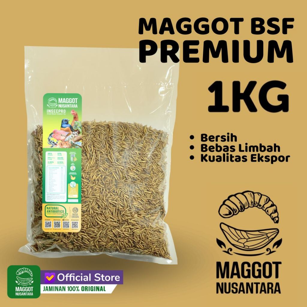 Jual Maggot Nusantara, Maggot PREMIUM Pakan Suplemen Alami Protein ...