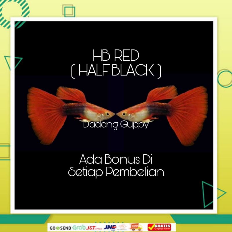 Jual Packing Styrofoam ( Hb Red ) | Shopee Indonesia