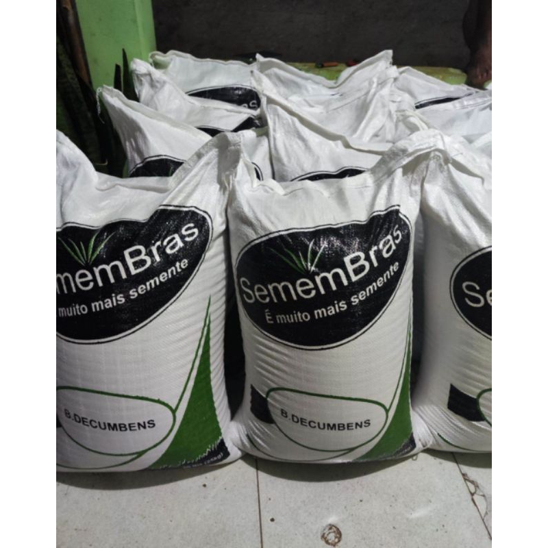 Jual Benih Rumput Pakan Ternak 25kg Singnal Grass Decumbens - Biji ...