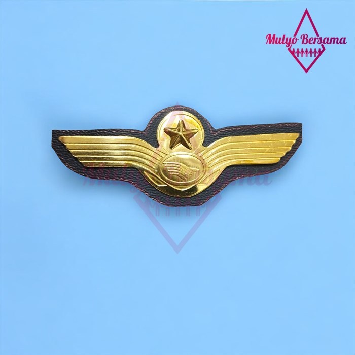 Jual Wing Pilot Garuda Maskapai Lencana Pin Pilot Garuda | Shopee Indonesia